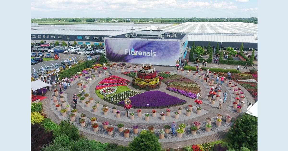 Where plants meet people. | Nicari Laminations