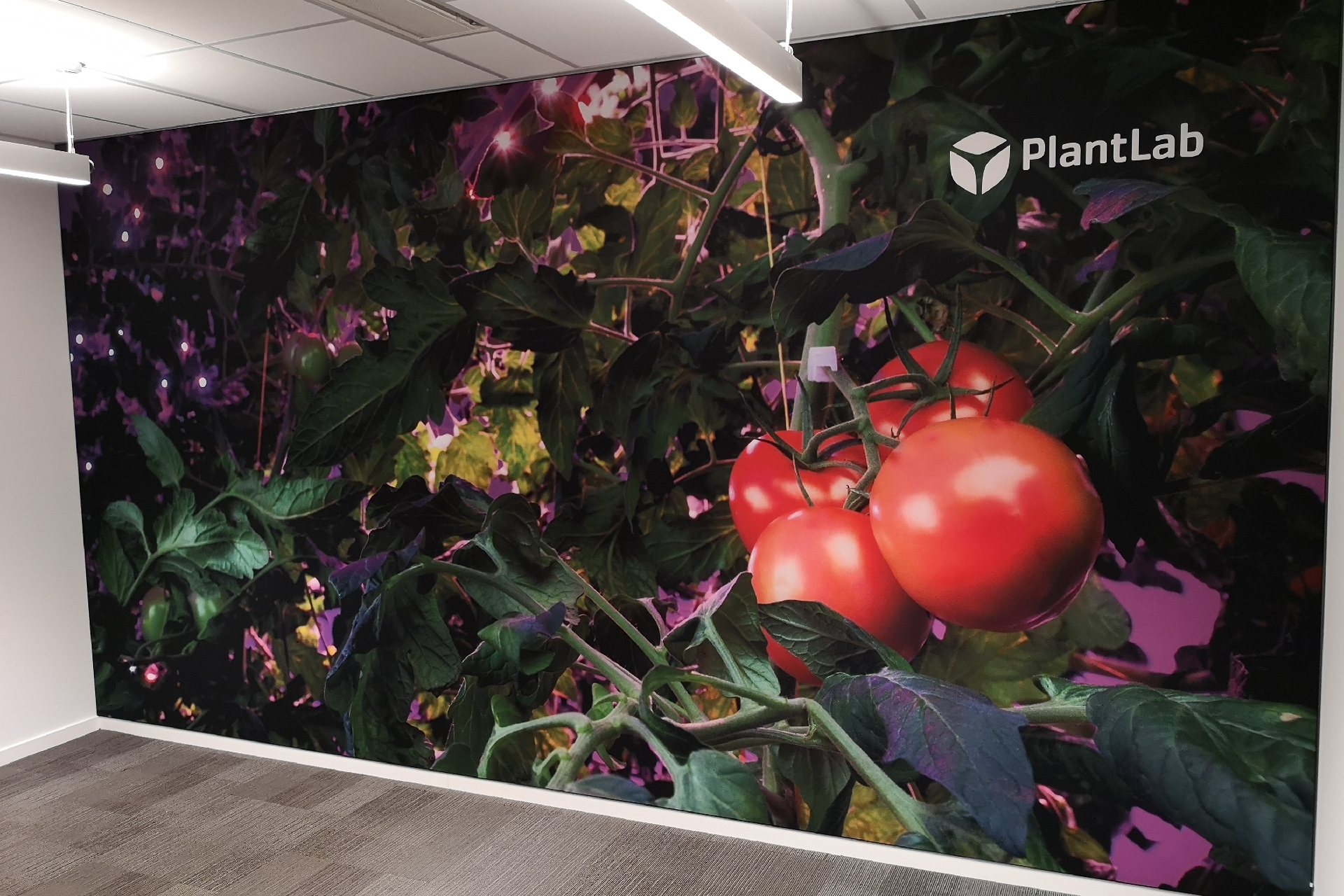 Doek | Nicari Laminations